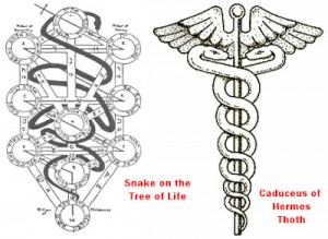 Jacobs Ladder dna 2 | Gnostic Warrior By Moe Bedard