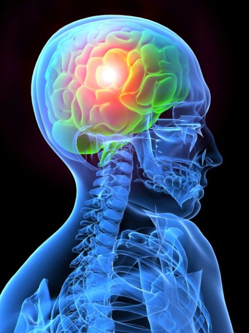 Size Matters : Scientists Prove People With Big Heads Are Smarter ...