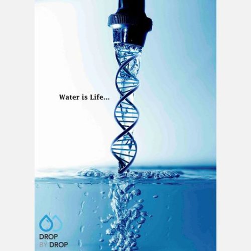 Drink Only Distilled Water! | Gnostic Warrior By Moe Bedard