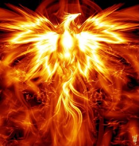 Symbol of the Phoenix | Gnostic Warrior By Moe Bedard