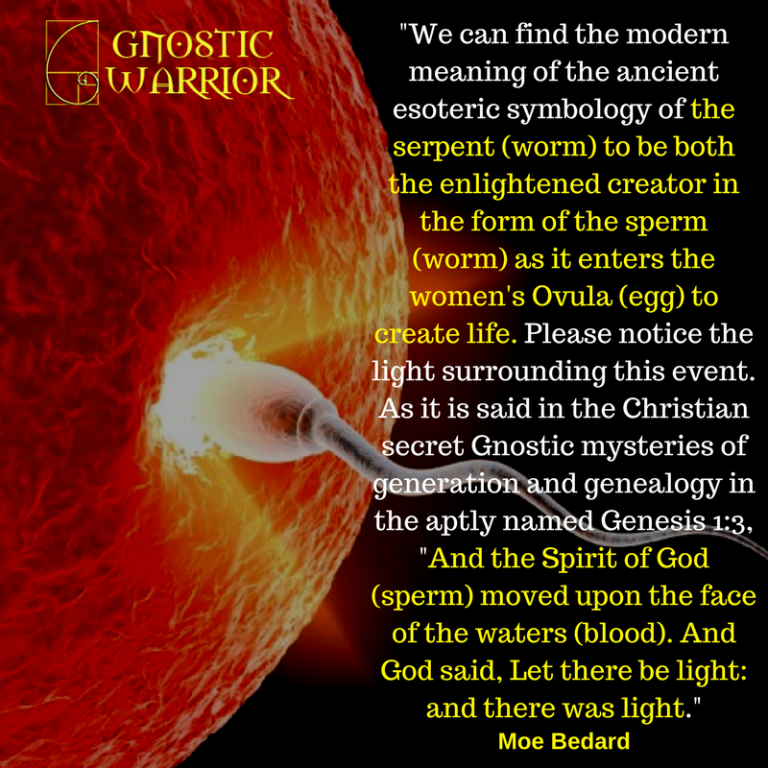 Orphic Egg | Gnostic Warrior By Moe Bedard