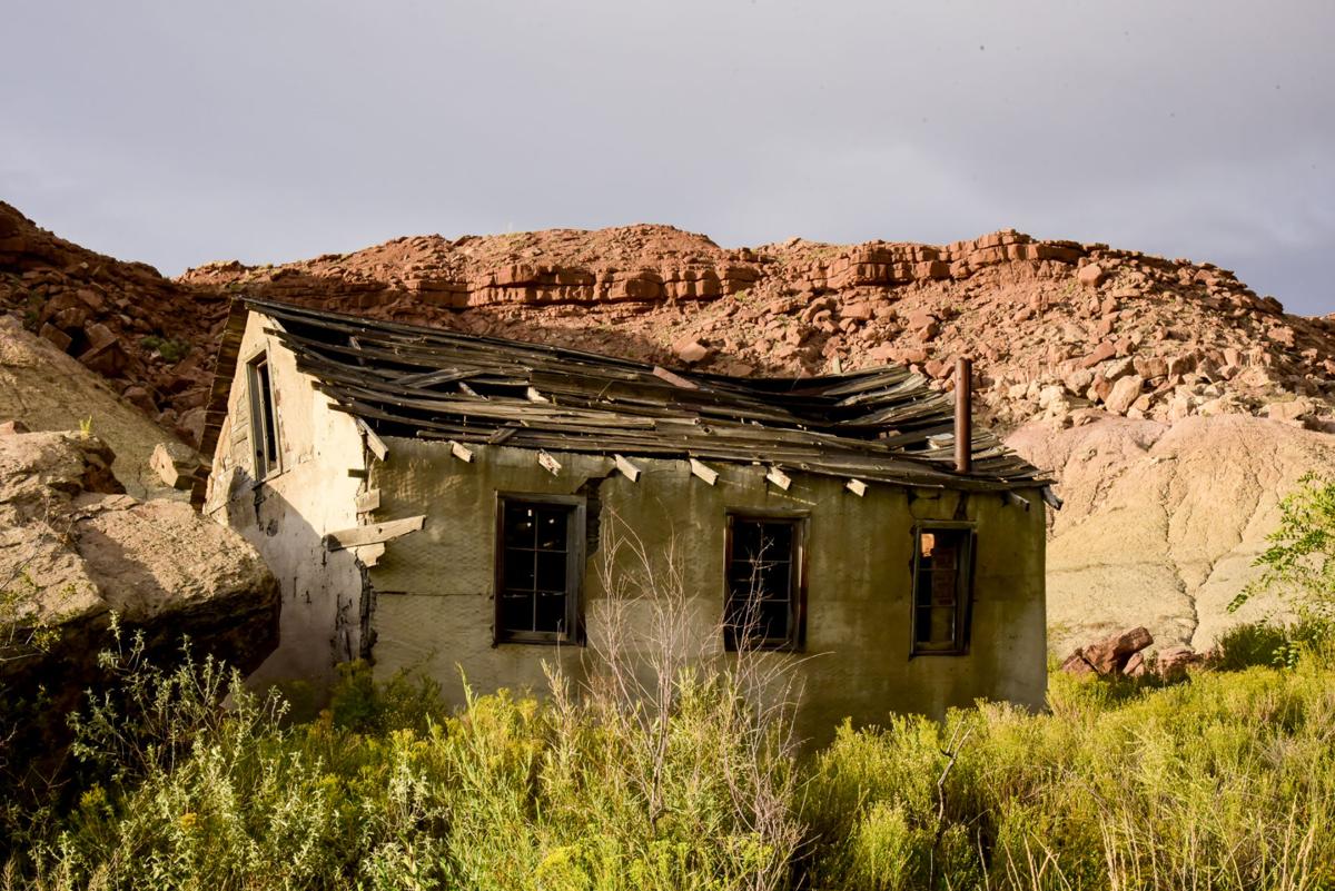 Did toxic mold at Skinwalker Ranch cause Jack Osborne’s MS to flare-up ...