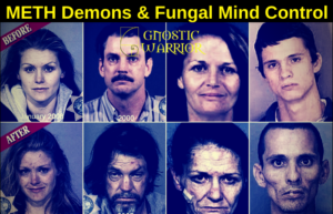 METH Demons and Fungal Mind Control | Gnostic Warrior By Moe Bedard