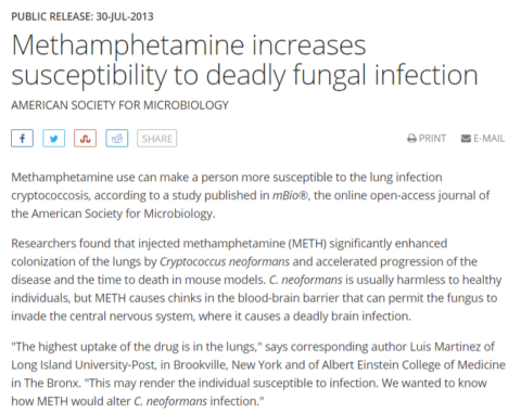 Meth Demons: How methamphetamine addicts develop parasitic fungal ...