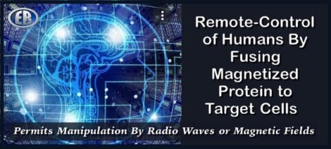 Magneto Mind Control | Gnostic Warrior By Moe Bedard