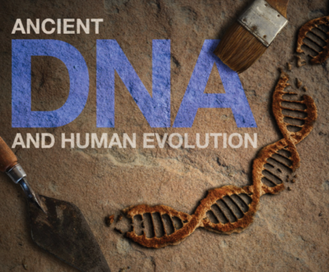 The Secret Science of Humans Created from Clay (Dust) | Gnostic Warrior ...