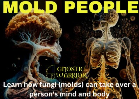 Mold People: Learn how fungi (molds) can take over a person’s mind and ...