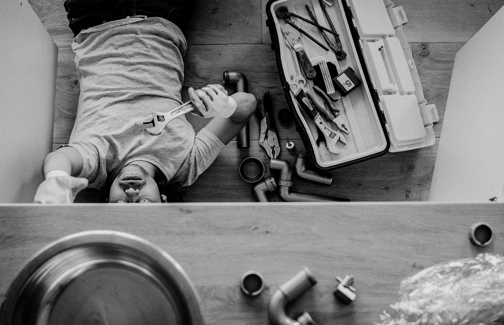 phoenix_cover | Gnostic Warrior By Moe Bedard