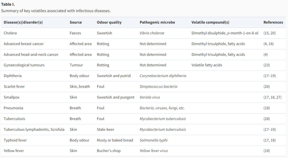 The Scent of Illness and Death: The smell of fungi eating rotting ...